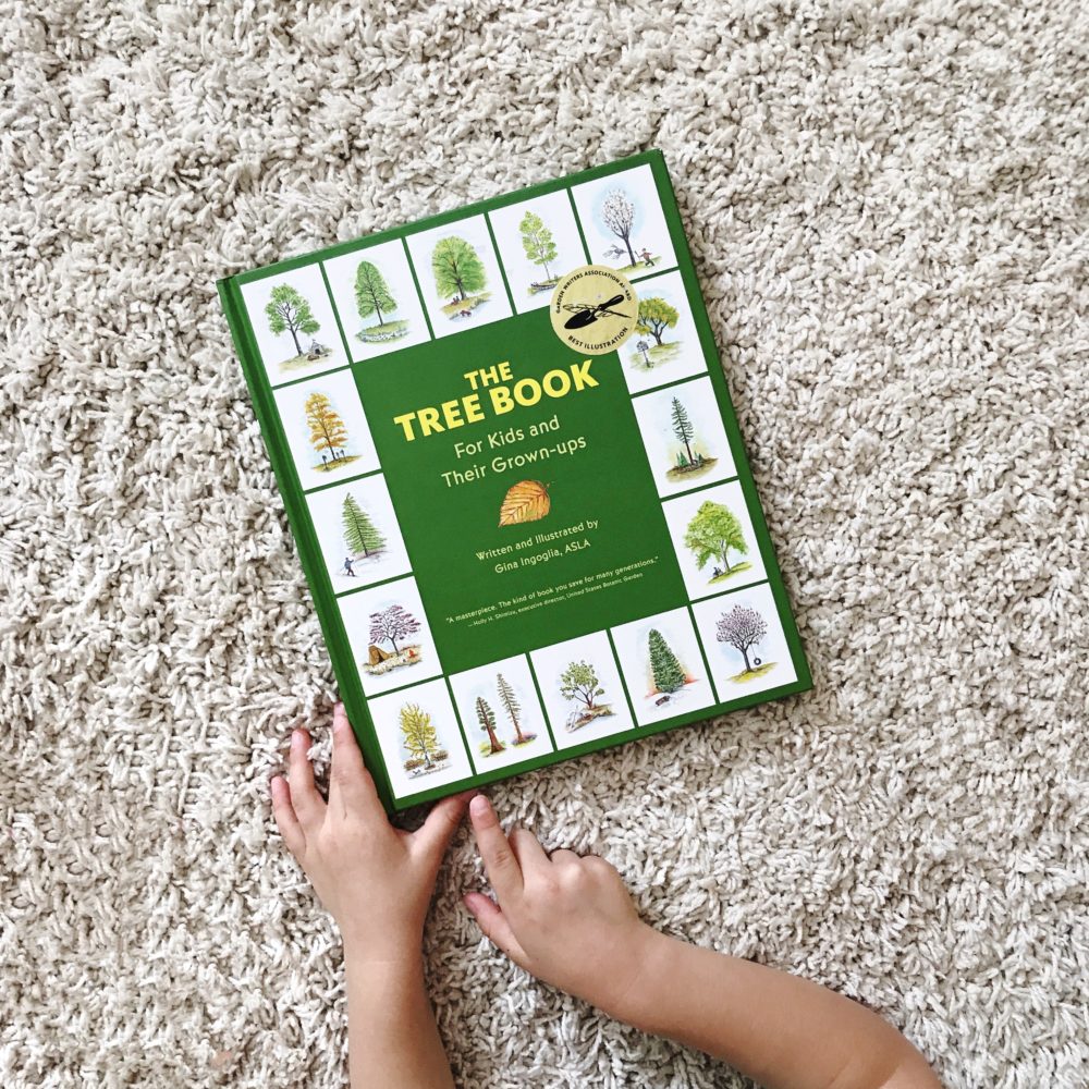 The Tree Book: For Kids AND Their Grown-ups | The Book Report