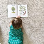 The Tree Book: For Kids AND Their Grown-ups | The Book Report