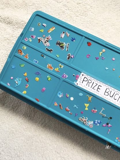 Summer Prize Bucket + Tickets | The Book Report