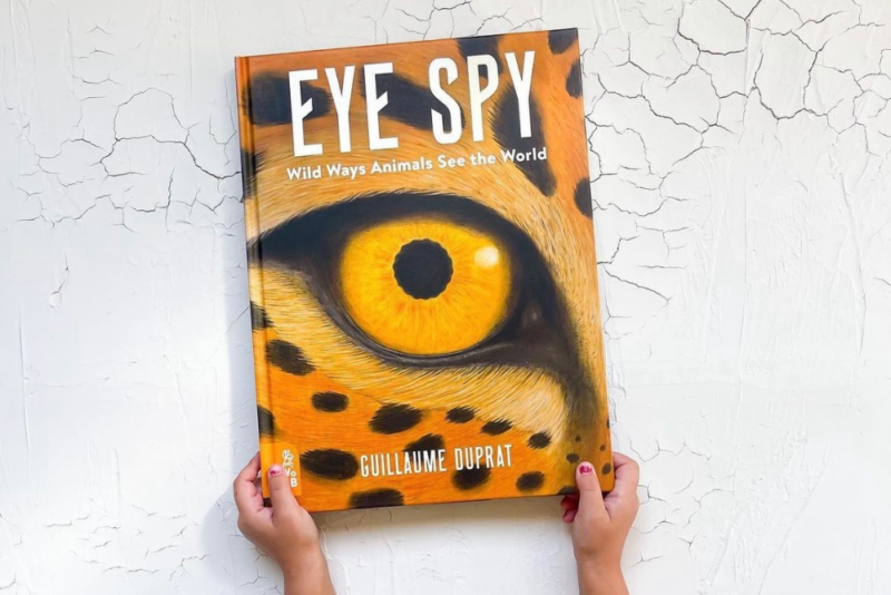 50 Fun Picture Books For Preschoolers | The Book Report